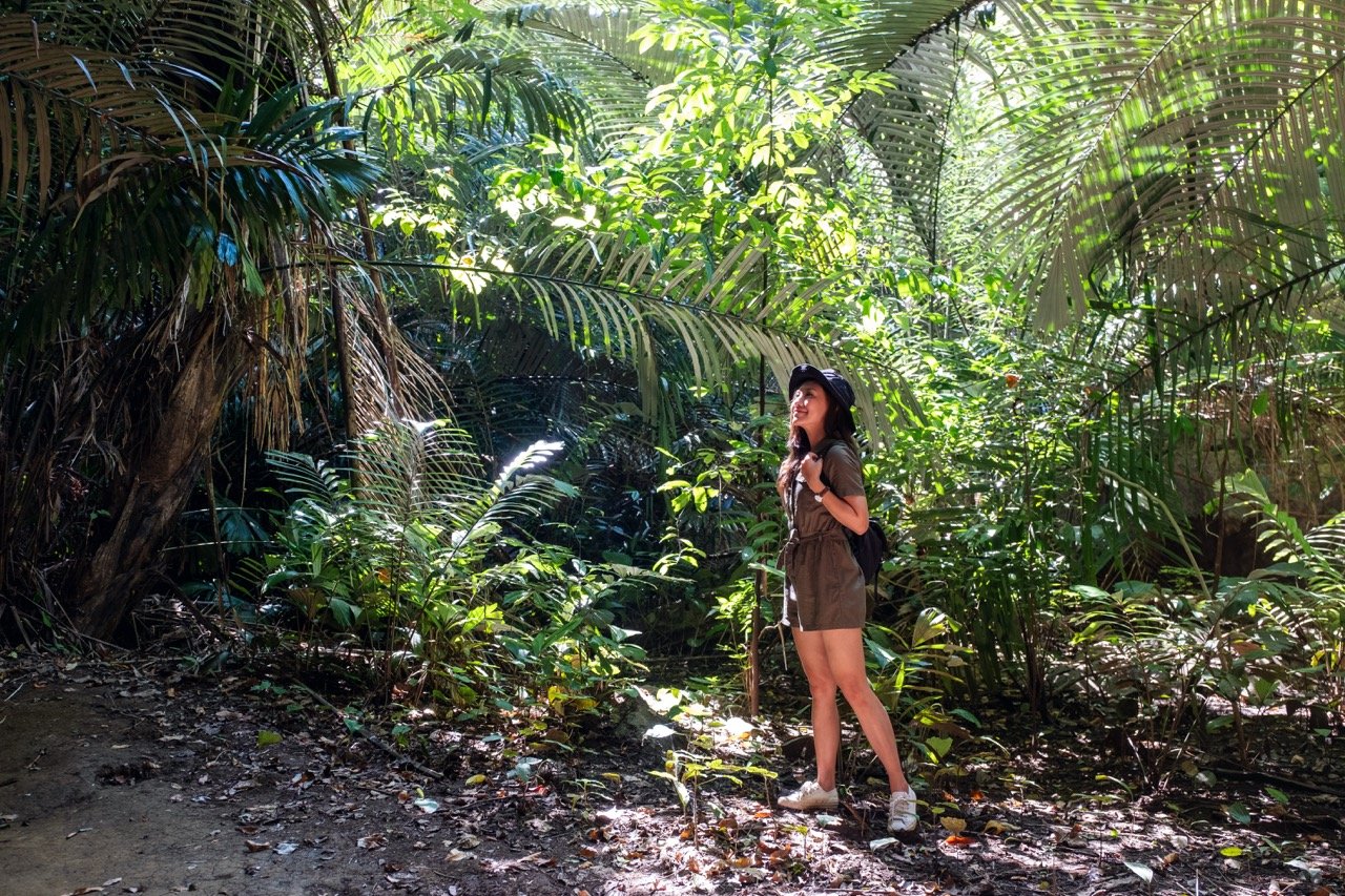 5 Essential Facts About the American Samoa National Park Entrance Fee